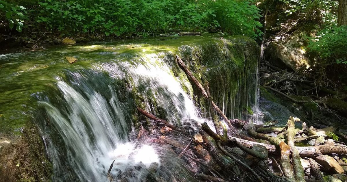 The Breathtaking Hidden Nature Park In Indiana You'll Love