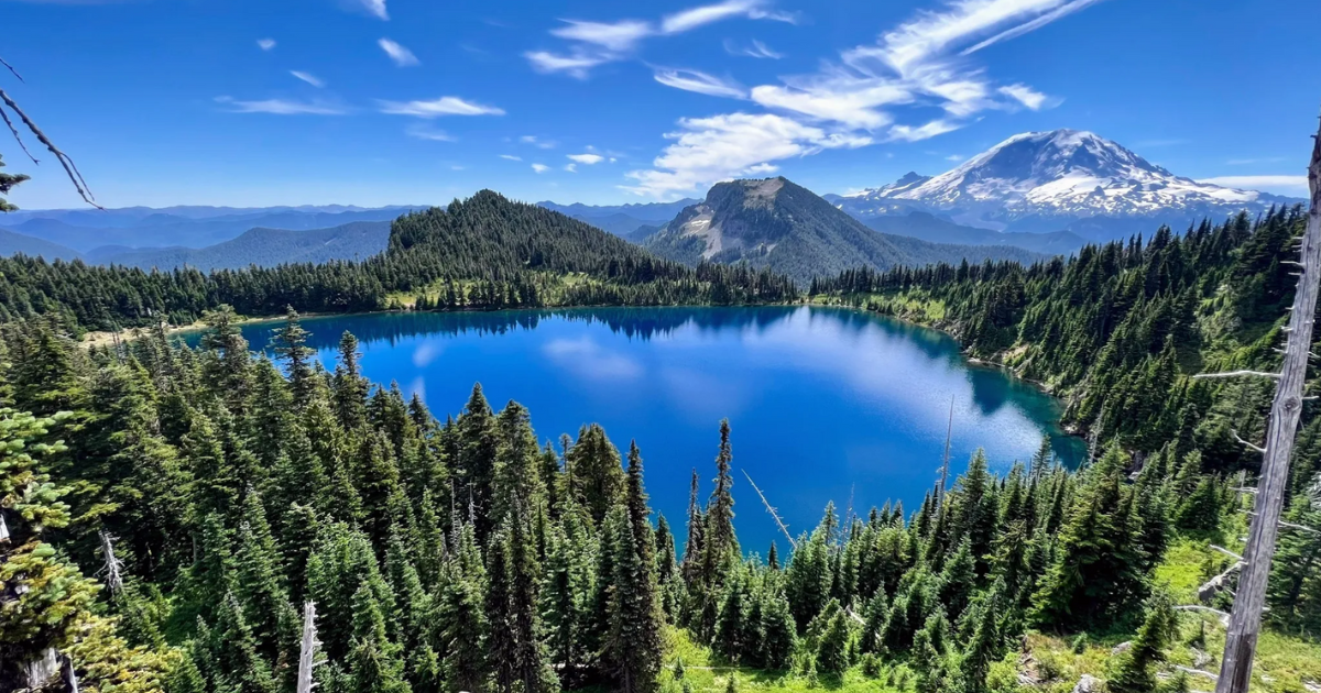 This Incredible Road Trip Through Washington Passes Countless Stunning ...
