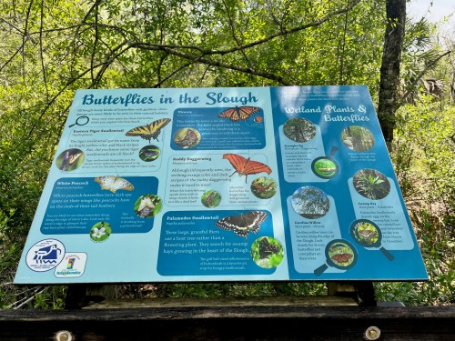Hike This 1.2-Mile Boardwalk Trail Through the Florida Wetlands