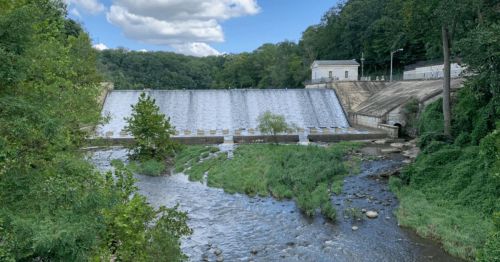 Best Waterfalls in Maryland: 12 Must-See Spots and Hidden Gems