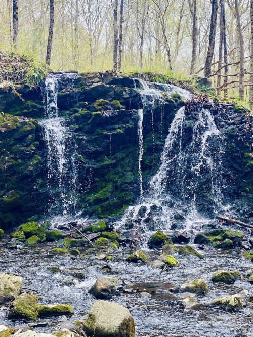 Pyramid Mountain Has A Hidden Waterfall Trail In New Jersey