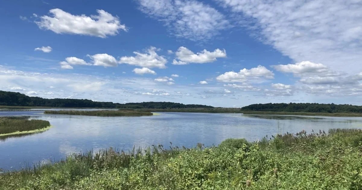 The Breathtaking Scenic Drive Through Delaware That Runs Along The ...