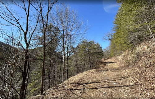Hone Quarry: Little-Known Waterfall Trail In Virginia