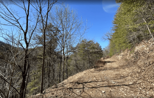 Hone Quarry: Little-Known Waterfall Trail In Virginia