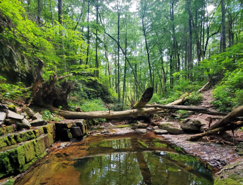 Hone Quarry: Little-Known Waterfall Trail In Virginia
