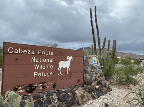 Cabeza Prieta National Wildlife Refuge: Nature In Arizona