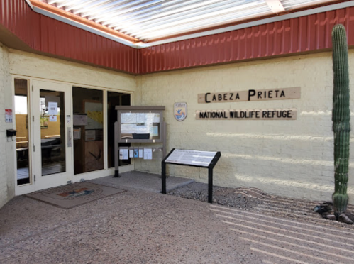 Cabeza Prieta National Wildlife Refuge: Nature In Arizona