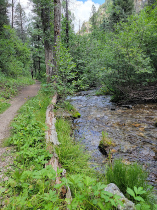 Discover Columbine Campground in New Mexico's Carson National Forest