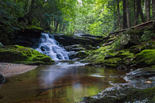 Visit The Iconic Boothbay Botanical Gardens Trolls