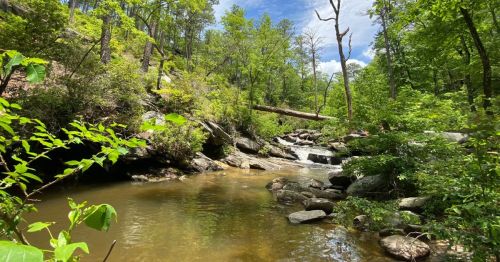 Best Waterfalls in Alabama: 12 Must-See Natural Wonders