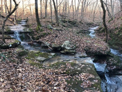 Lichen Falls Trail: One Of The Best Waterfall Hikes In Arkansas