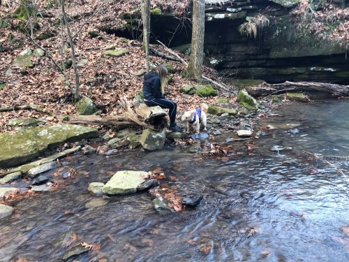 Lichen Falls Trail: One Of The Best Waterfall Hikes In Arkansas