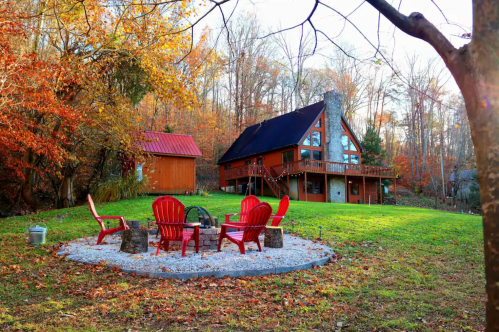 The Tulips at Ruby Branch Farms in Kentucky are Stunning