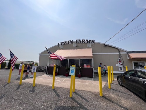 Lewin Farms: Berry Picking In Long Island New York