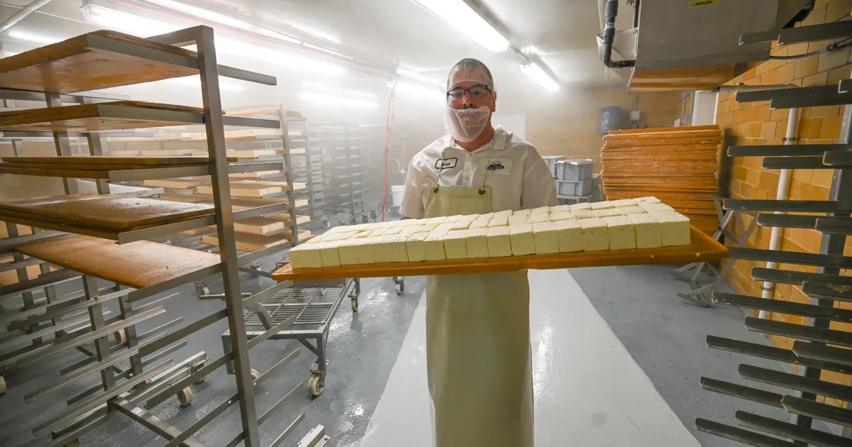 Last Limburger Cheese Factory in America Is in Wisconsin
