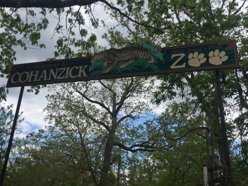 Cohanzick Zoo: Best Animal Sanctuary In New Jersey