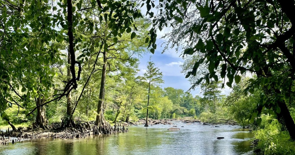 Little-Known Fishing Spot In North Carolina: River Park North