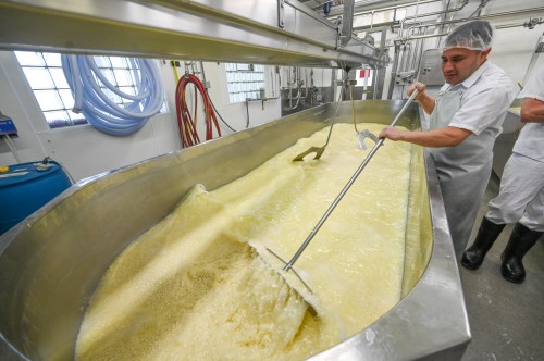Chalet Cheese Co-op, Maker of Famous Wisconsin Cheeses
