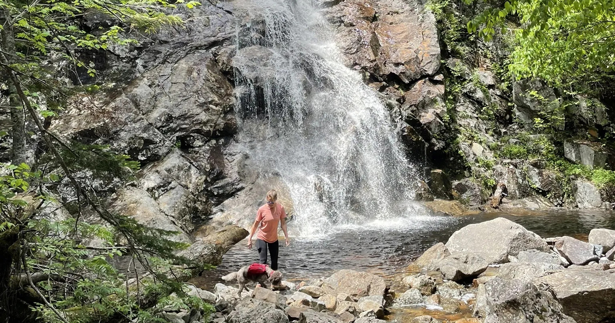 The Nancy Pond Trail Is One Of The Best Waterfall Hikes In New Hampshire