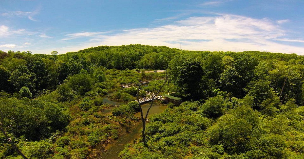 Explore New River Birding & Nature Center in West Virginia