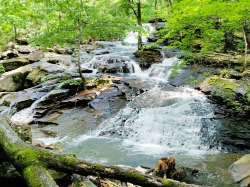 Best Waterfall Trail In Arkansas: Huckleberry Trail In Greenbrier