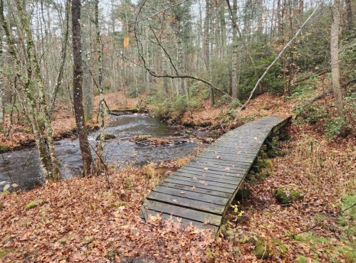 Best Waterfall Hikes In Rhode Island