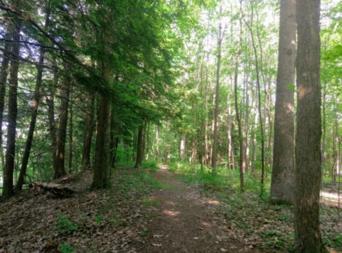 Tidioute Overlook: Best Views In Pennsylvania