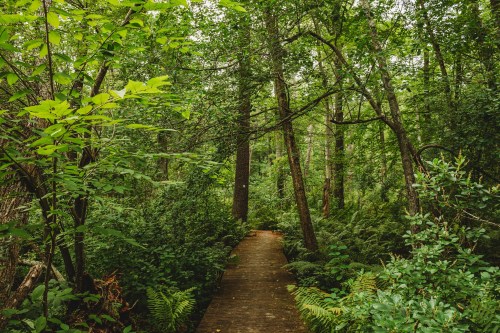 Moose Hill Wildlife: A Beautiful Massachusetts Nature Preserve