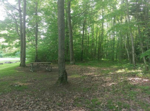 Tidioute Overlook: Best Views In Pennsylvania