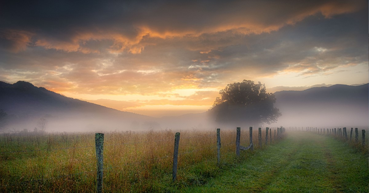 Things to Do in Townsend TN: Weekend Trip Ideas & Itinerary