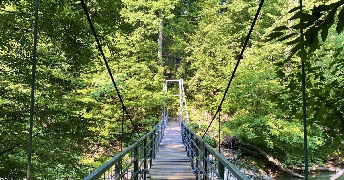 Explore Audubon Acres: Chattanooga's Nature Sanctuary