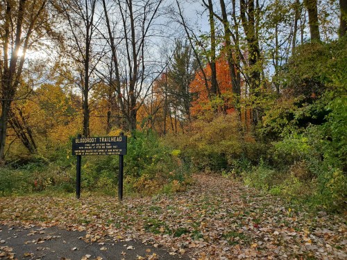 Indiana's Bloodroot Trail Is A Photogenic Lakeside Adventure