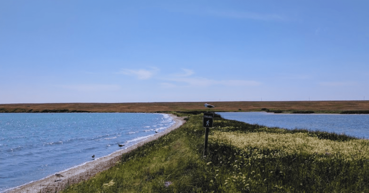 Brush Lake State Park: A Hidden Nature Park In Montana