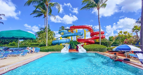 Attractions | Only In Florida