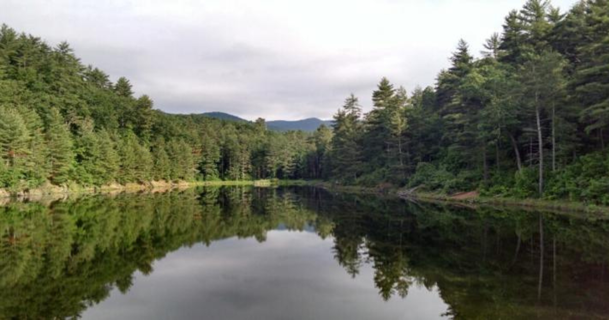 Braley Pond Is A Little-Known Fishing Spot In Virginia