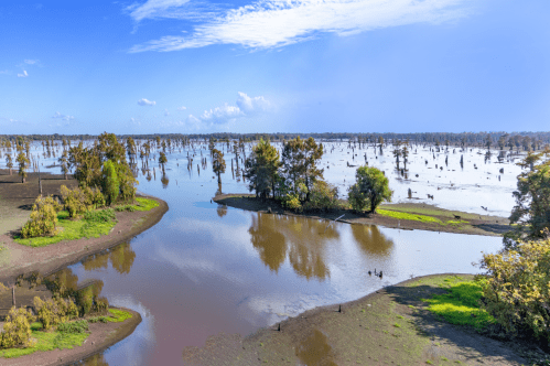 Delhi, LA: Perfect Town For A Weekend Getaway In Louisiana