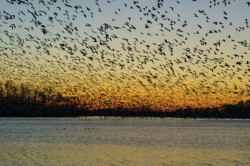 10 Quaint Small Towns In Rural Delaware