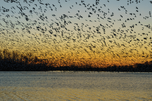 Top Fall Activities in Delaware: Parks, Pumpkin Patches & Festivals