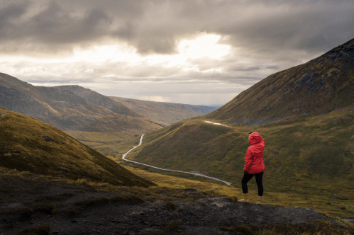 This Amazing Glass Top Train Ride In Alaska Is Gorgeous