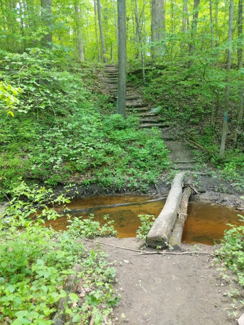 This Hidden Nature Park In Michigan Has A Cave And Much More