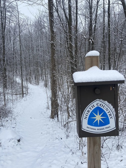 This Hidden Nature Park In Michigan Has A Cave And Much More
