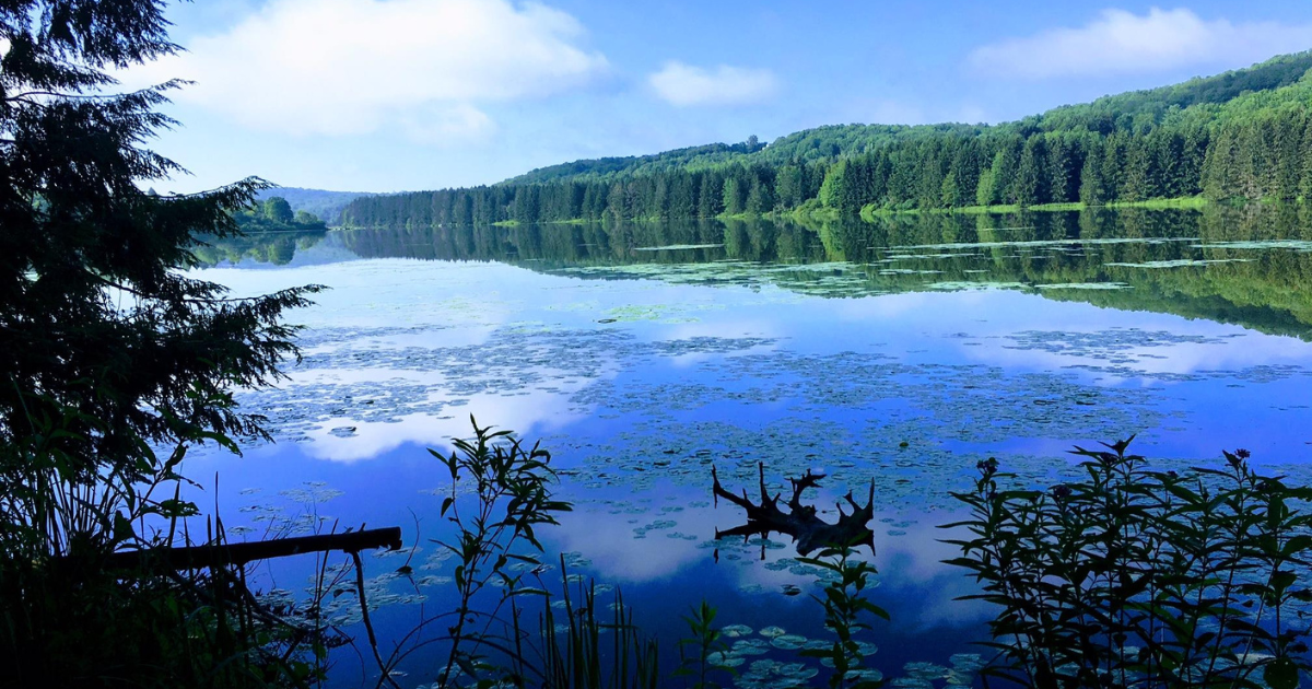 The Gorgeous, Little-Known Lake Is One Of The Most Underrated Fishing ...
