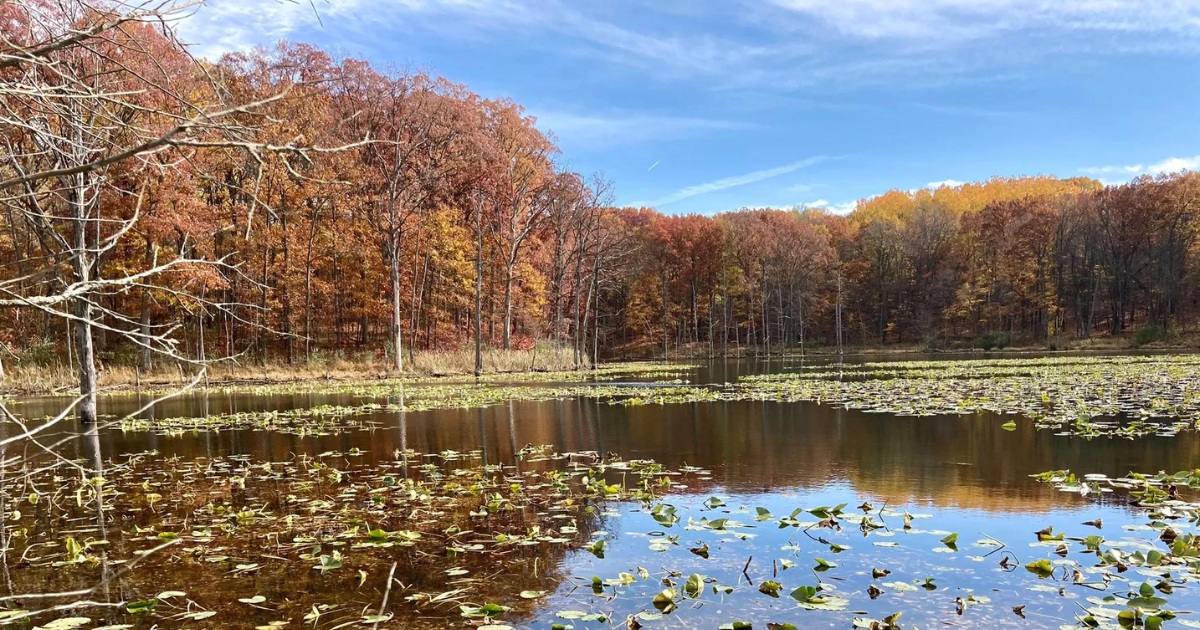 This Hidden Nature Park In Michigan Has A Cave And Much More