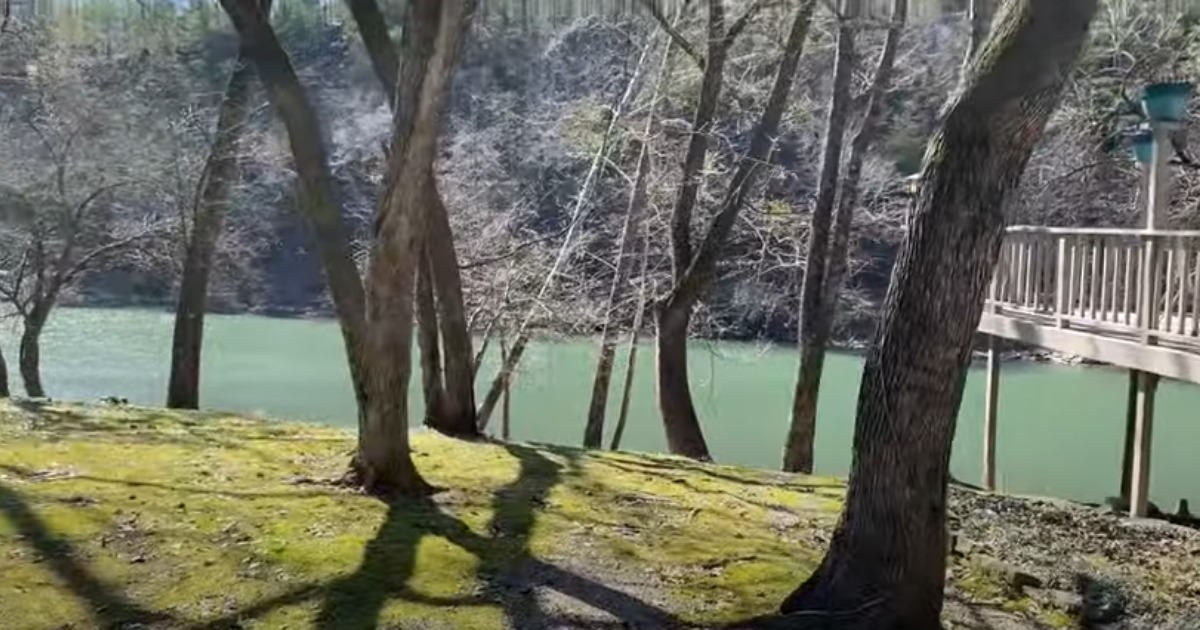 The Gorgeous, Little-Known River Is One Of The Most Underrated Fishing ...