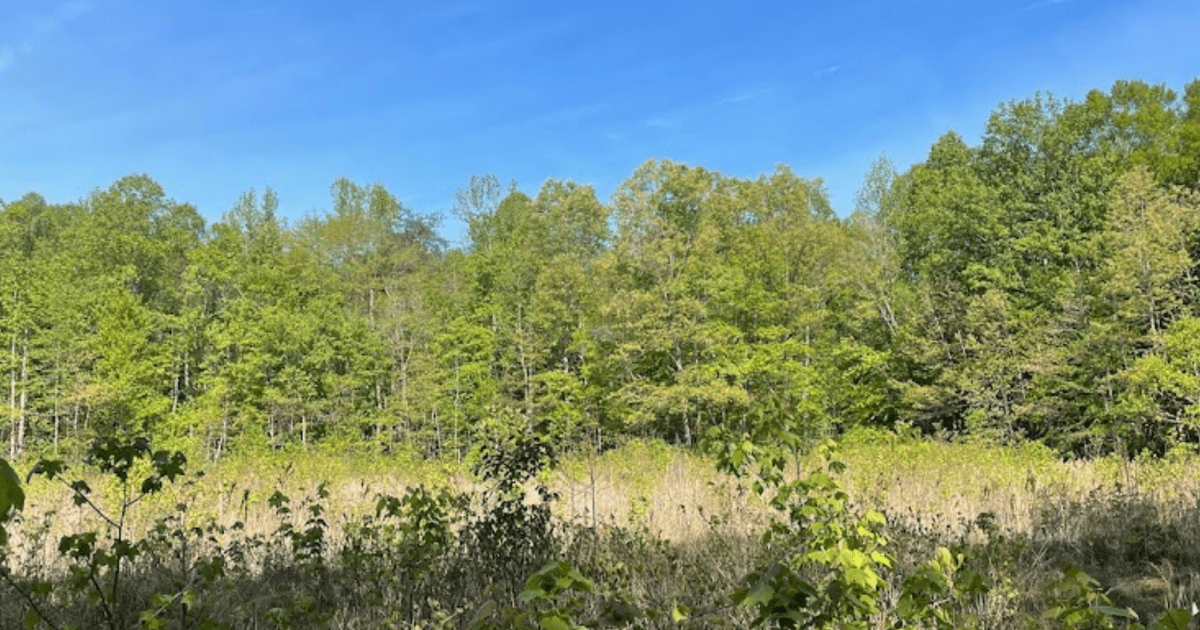 This Nature Sanctuary In Kentucky Is The Perfect Serene Day Trip