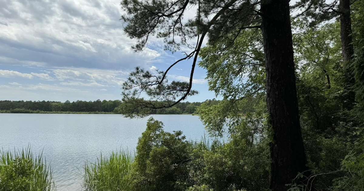 Best Hikes In Texas: Tyler State Park Lakeshore Trail
