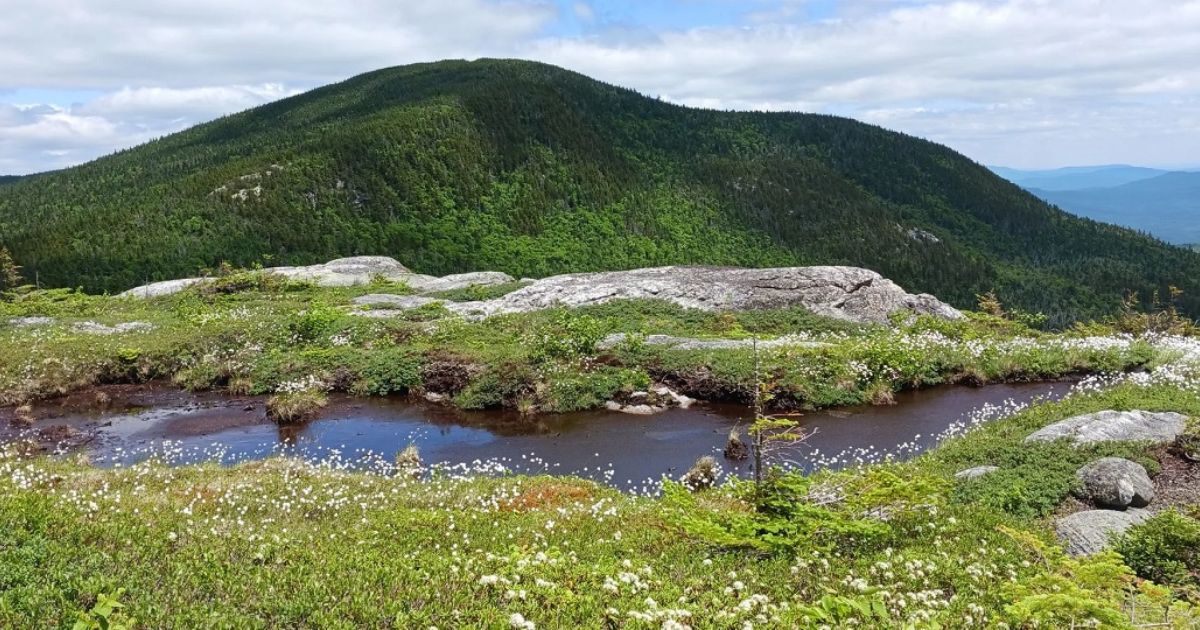 The Little Jackson Mountain Trail In Maine Is So Worth The Effort