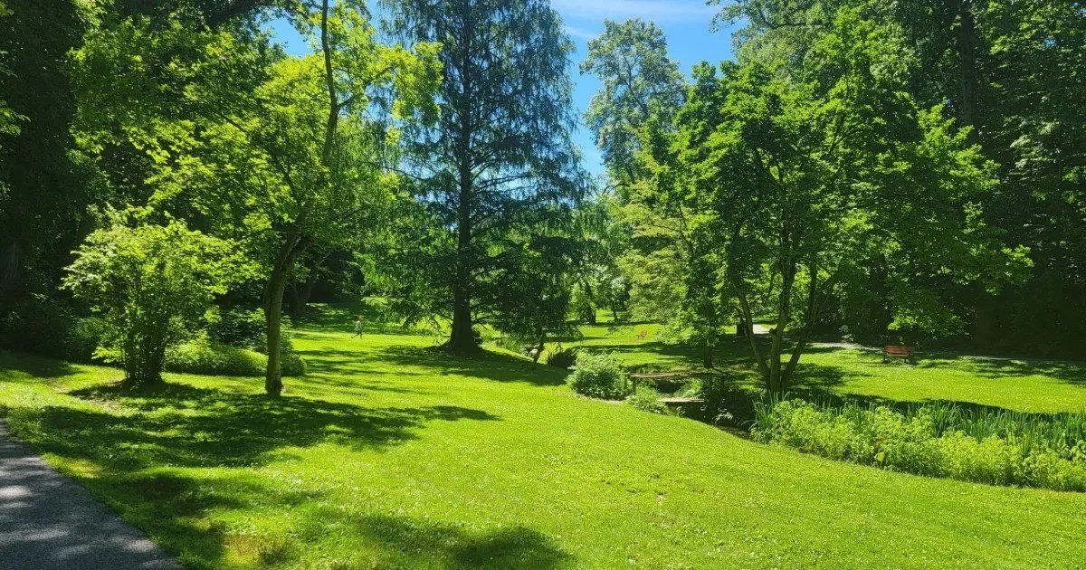 This Secret Nature Park In Delaware Is a Hidden Paradise