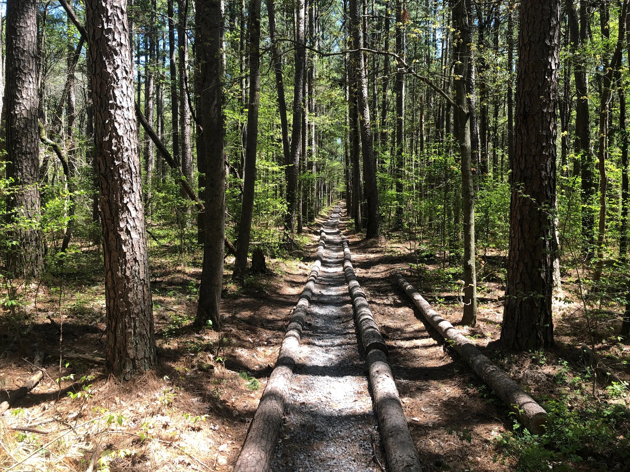 You’ll Fall In Love With The Tiny Waterfall Hiding Along This ...