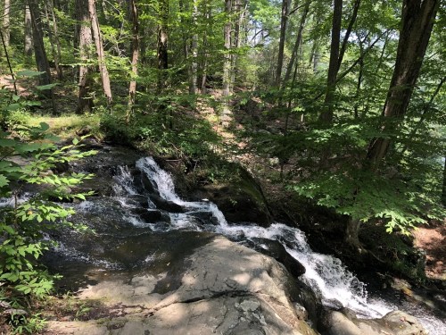 Zoar Trail: Waterfall Trail Near Monroe, CT